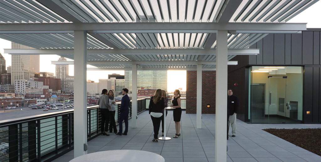 Hogan_Roof - Narrate Design